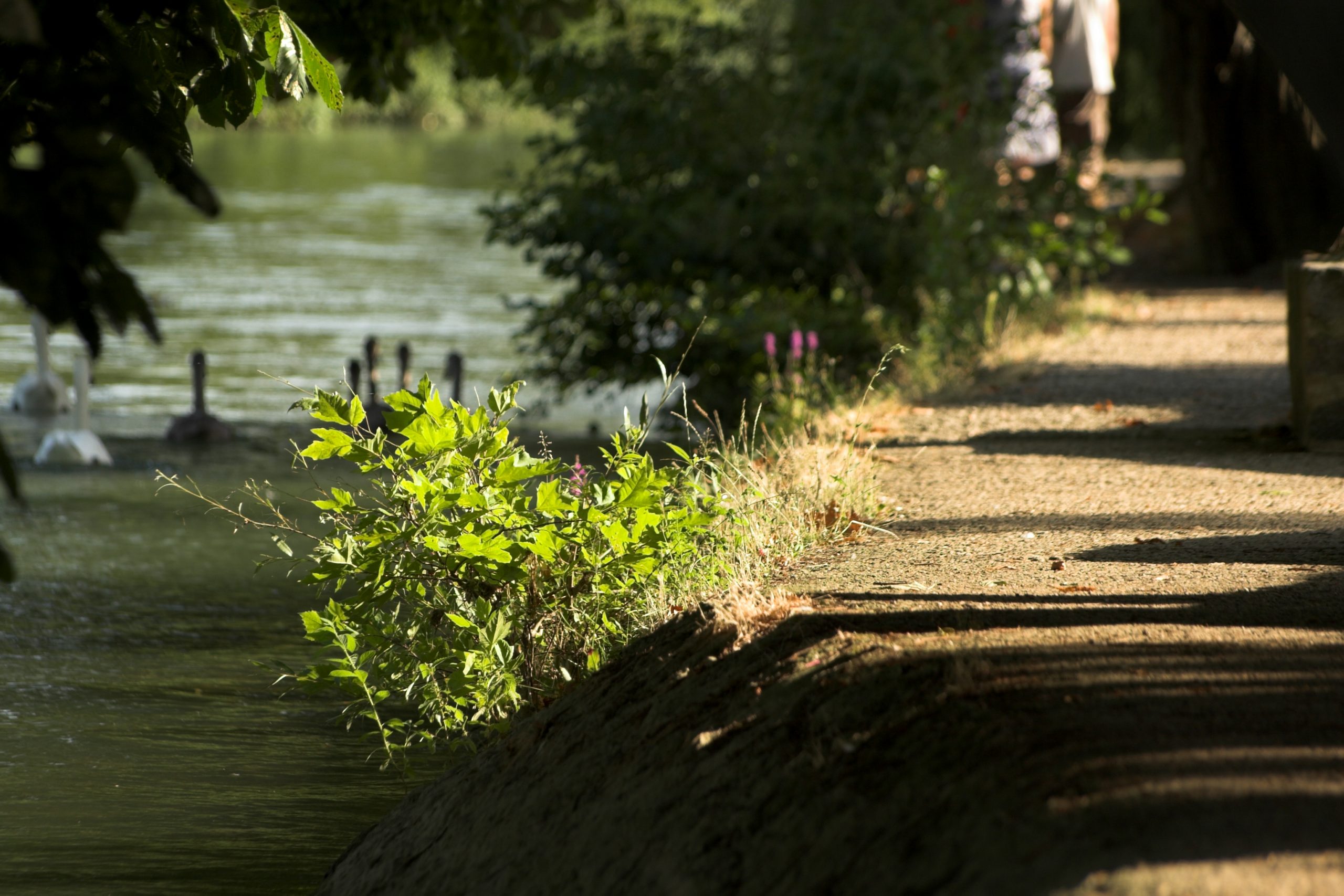 Découvrir la Marne - Cap sur la Marne
